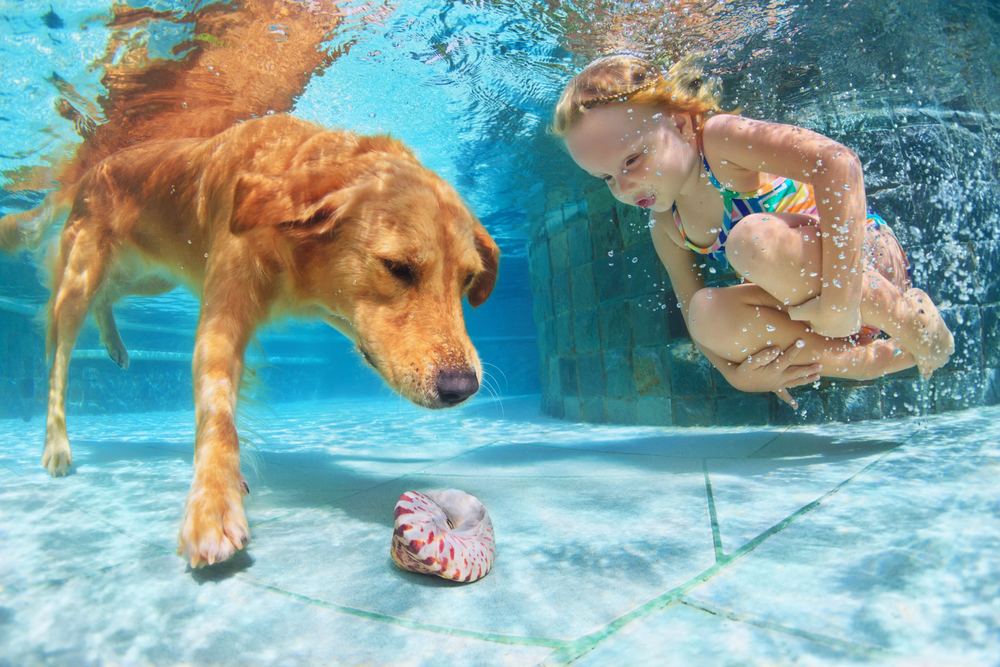 What Kids Learn from Having a Pet